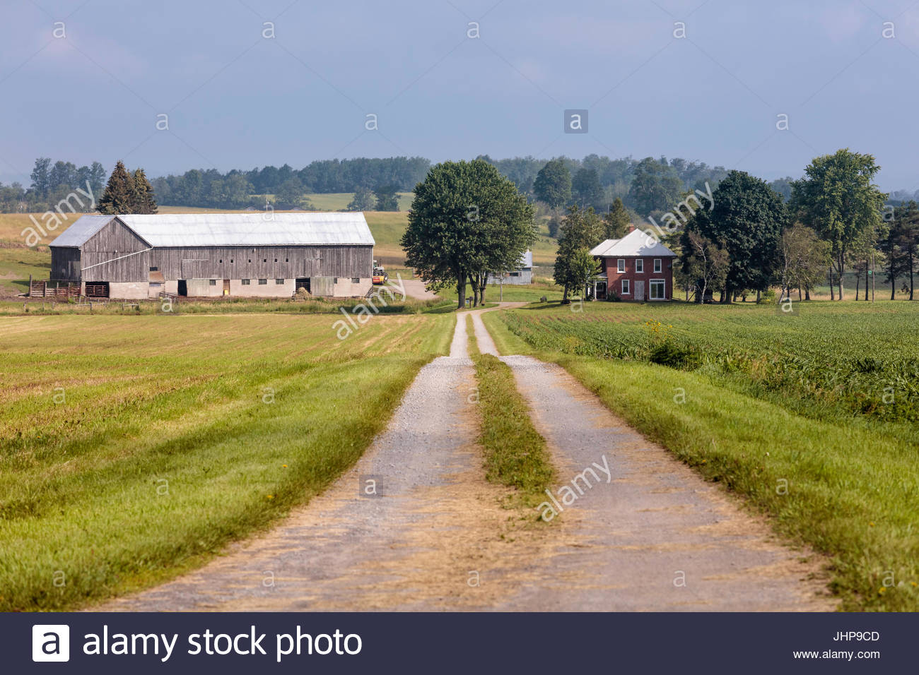 Rural Drive High Resolution Stock Photography and Images - Alamy
