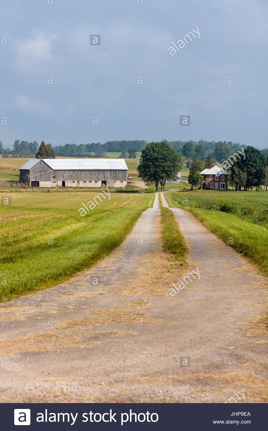 Rural Drive High Resolution Stock Photography and Images - Alamy