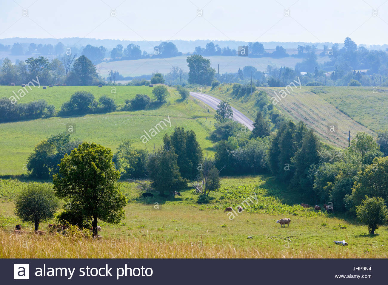 Drumlin Field High Resolution Stock Photography and Images - Alamy