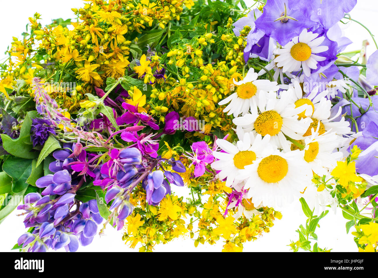Texture of bright wildflowers. Studio Photo Stock Photo - Alamy
