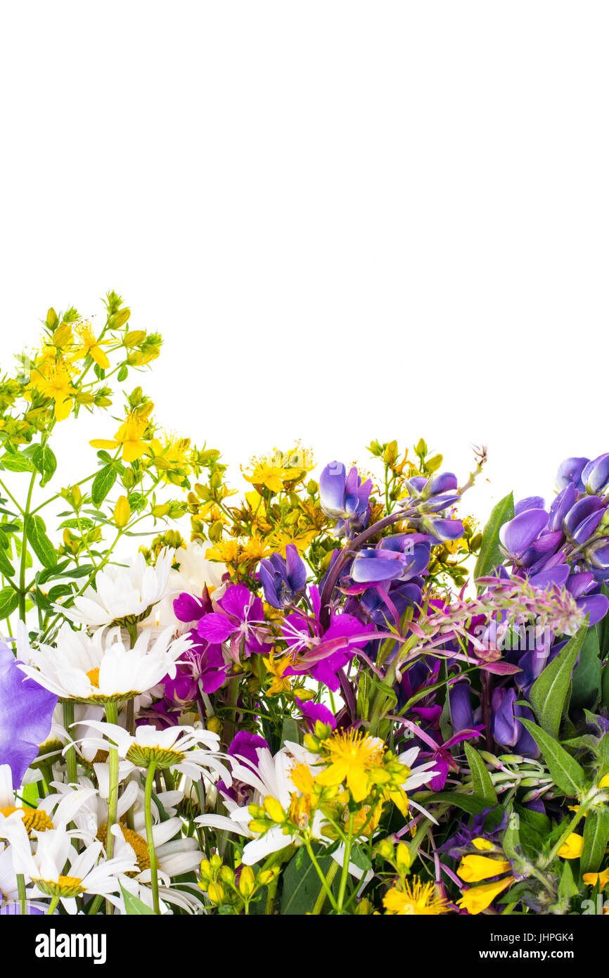 Texture of bright wildflowers. Studio Photo Stock Photo - Alamy