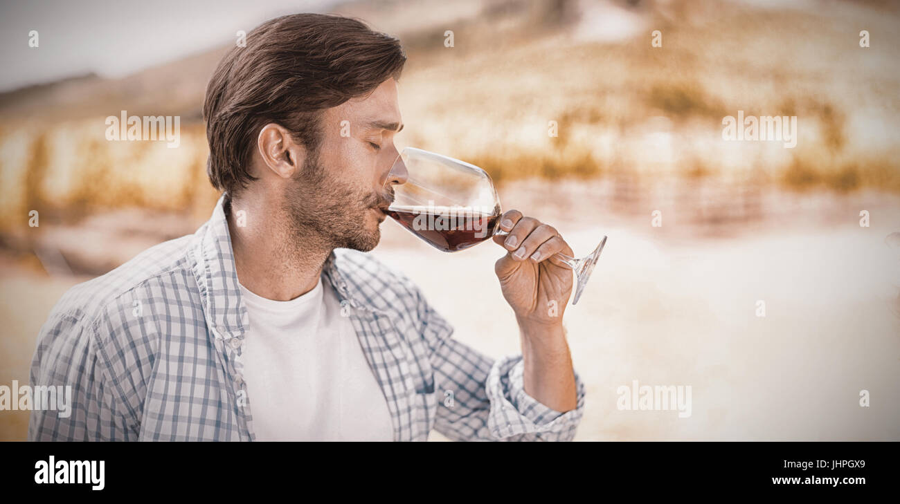 Man drinking red wine at vineyard Stock Photo - Alamy