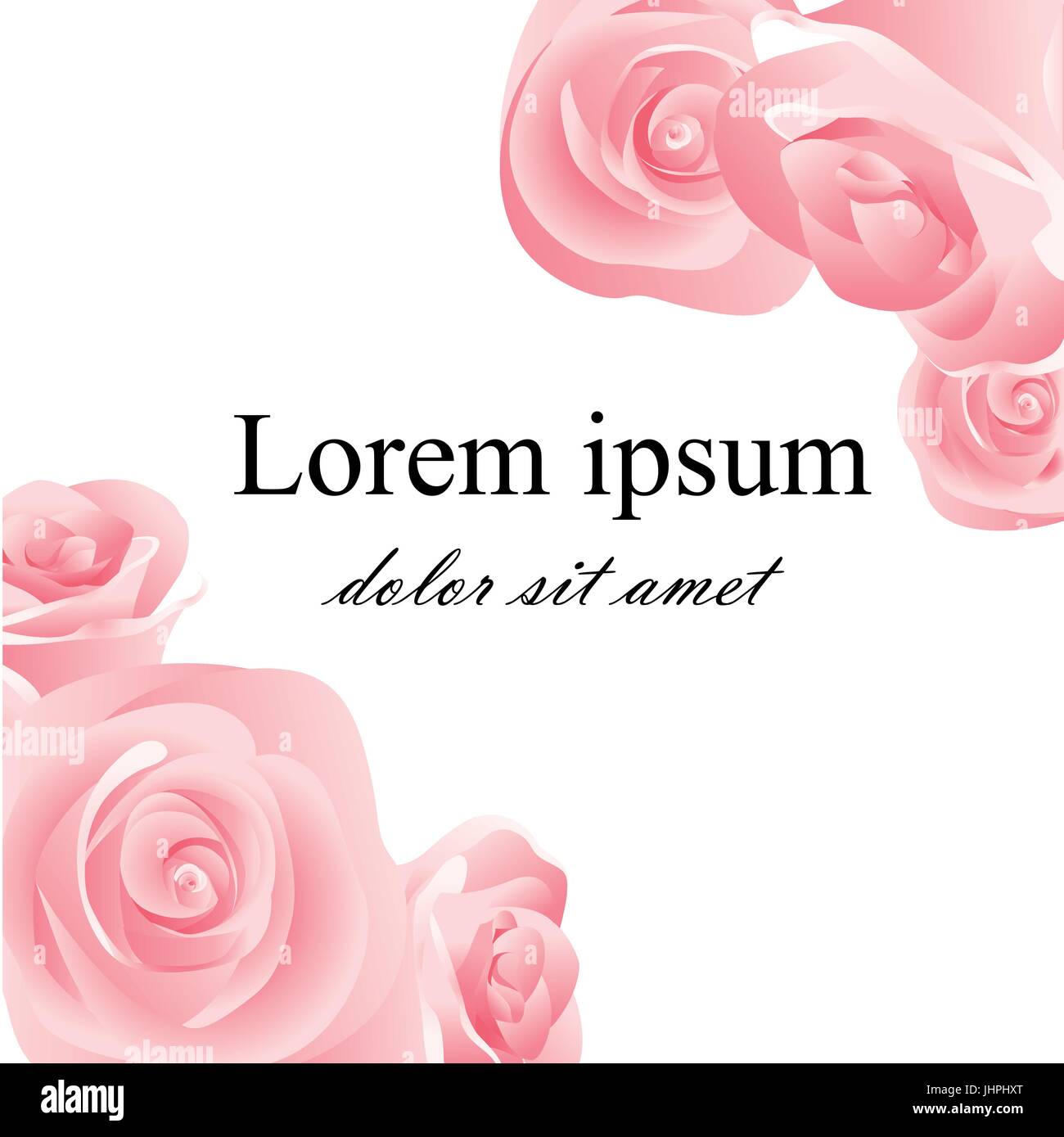 Red rose on white background. Vector illustration. Web site page and ...