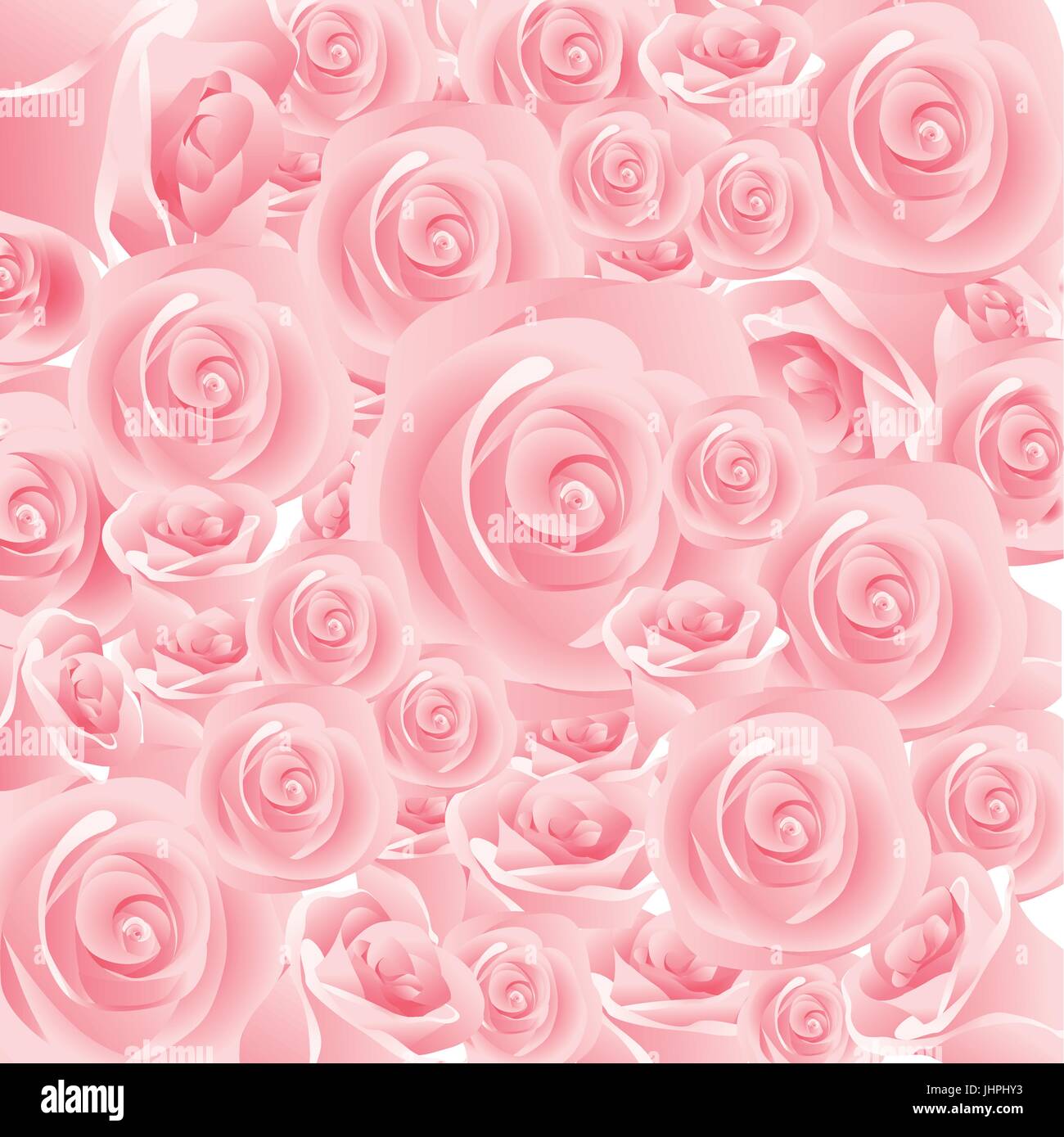 Red rose on white background. Vector illustration. Web site page and ...