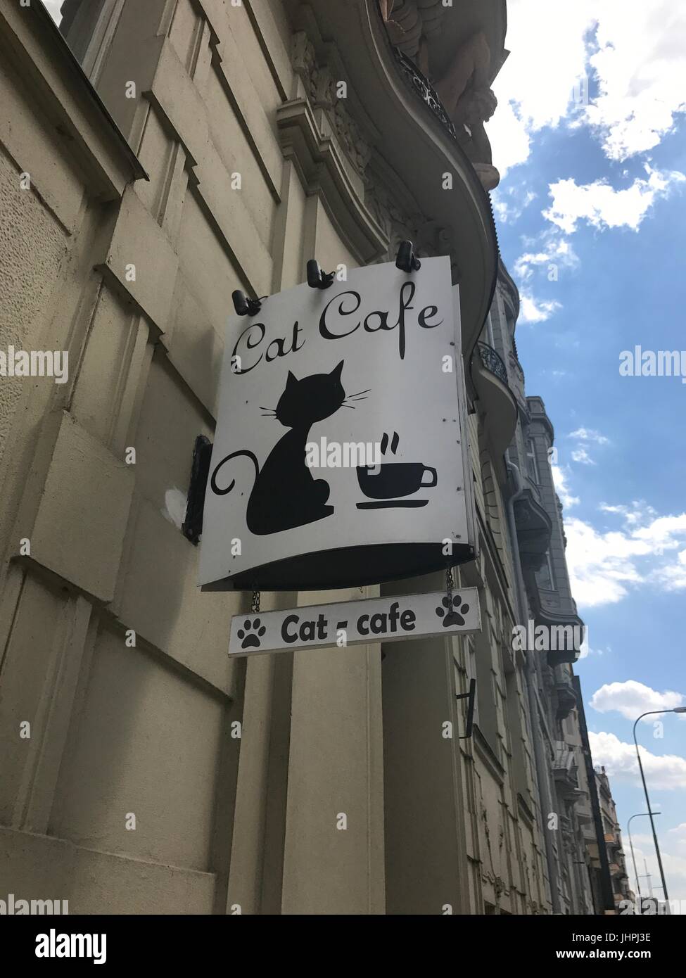 Crazy cat cafe hi-res stock photography and images - Alamy
