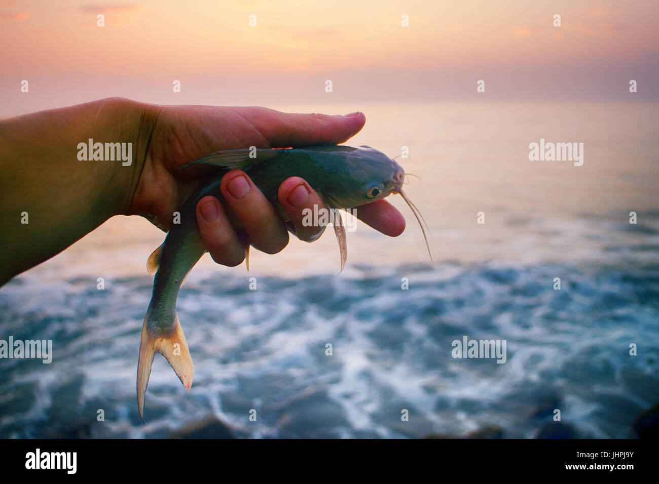 Fishing in India 2. Parvati fish caught in surf among the rocks. Kerala ...
