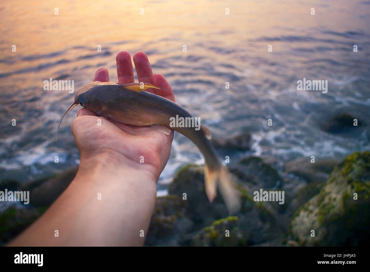 Fishing in India 2. Parvati fish caught in surf among the rocks. Kerala ...