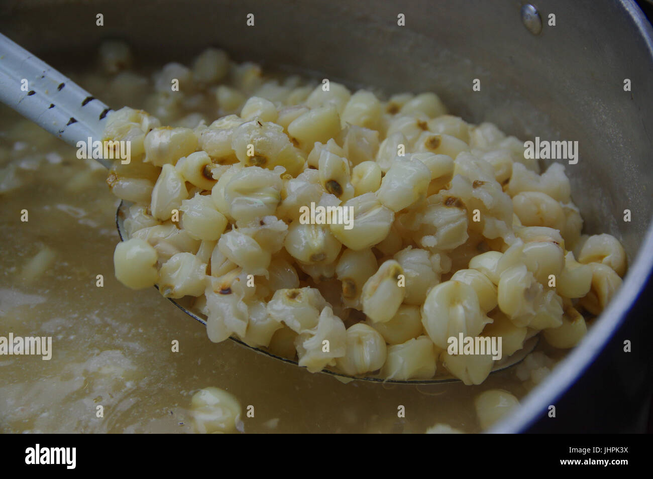 Close up of a cooked mote ecuadorian traditional typical andean food ...