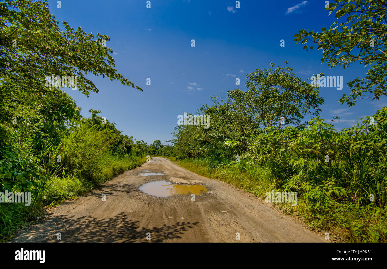 Rocky pavement road in the coast, surrounded with abundat vegetation in ...