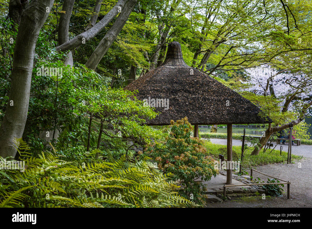 Tokyo Vegetation High Resolution Stock Photography and Images - Alamy