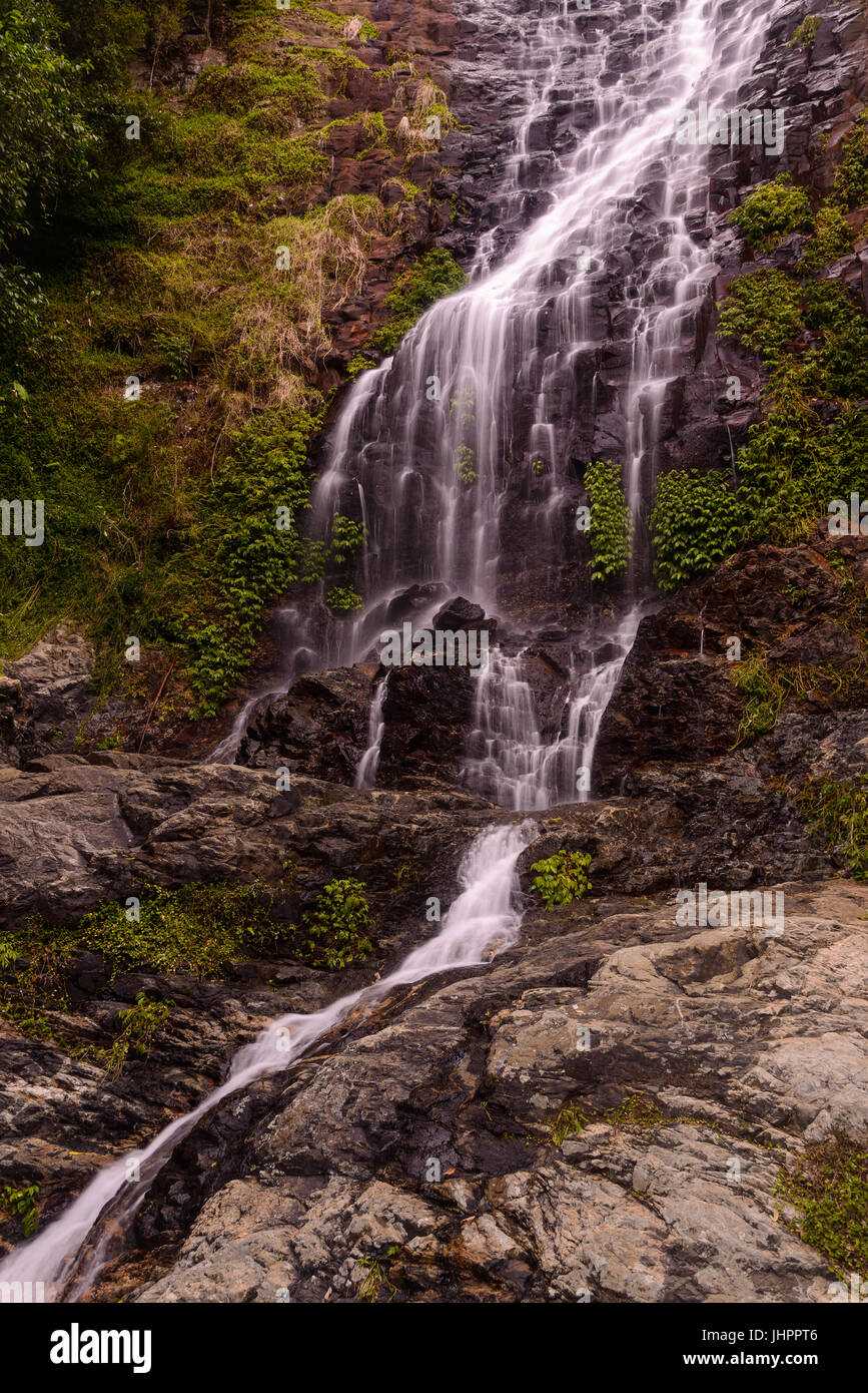 Waterfall in Dorrigo national park in NSW, Australia Stock Photo - Alamy