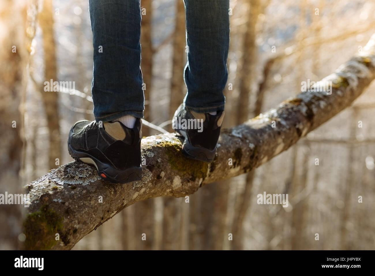 Closeup of a man standing on a branch in a wood Stock Photo - Alamy