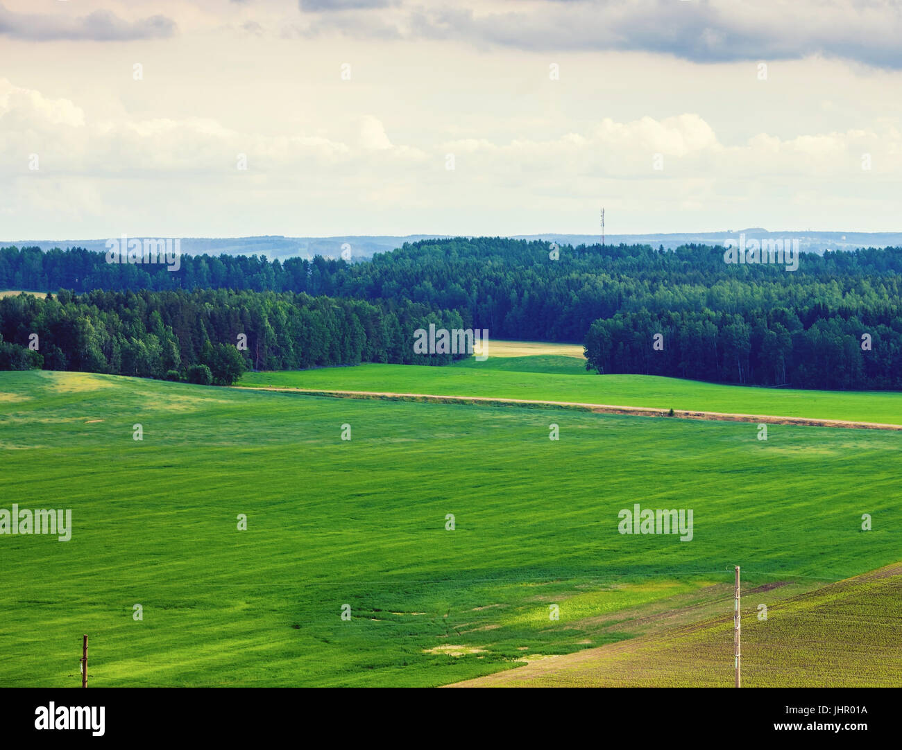 Rural summer landscape. Green fields and forest. Meadows and trees ...