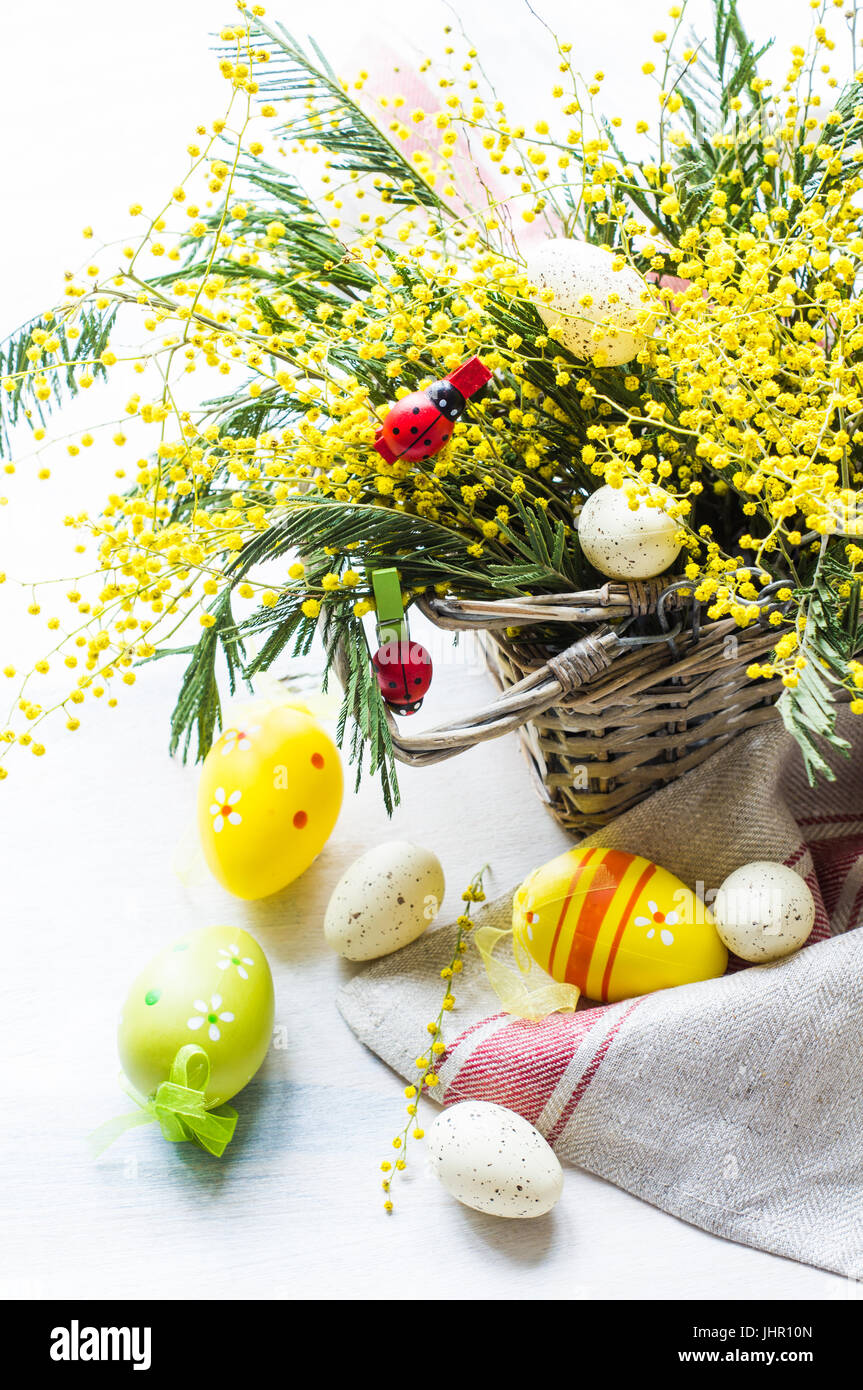 Easter festive frame with bright yellow mimosa (acacia) flowers and ...