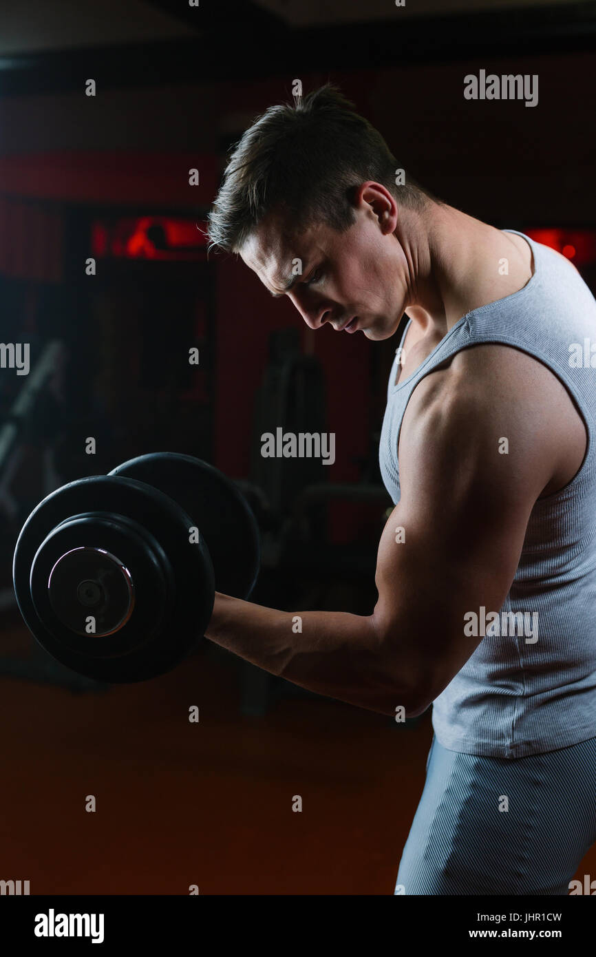 Bodybuilder Working Out Biceps - Dumbbell Concentration Curls Stock ...