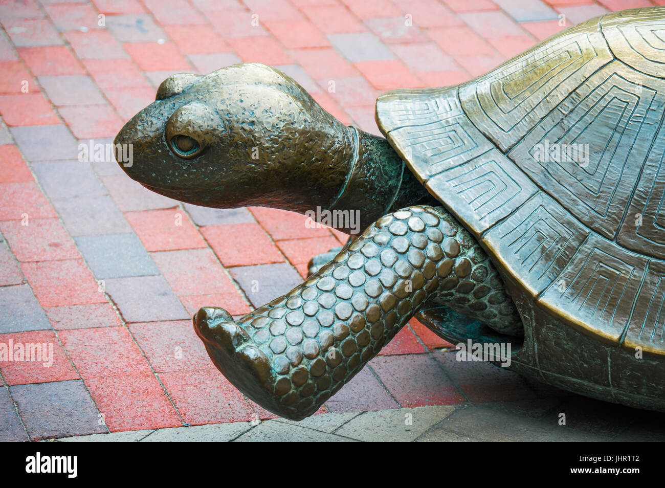 Bronze tortoise sculpture in Boston's Copley Square Stock Photo - Alamy