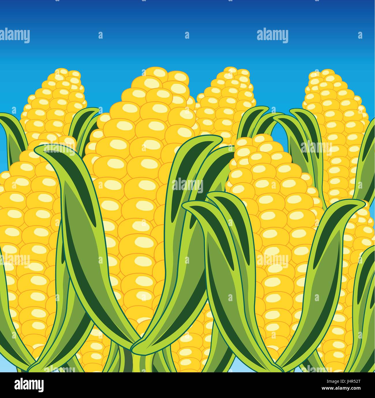 Corn field and cornfield Stock Vector Images - Alamy