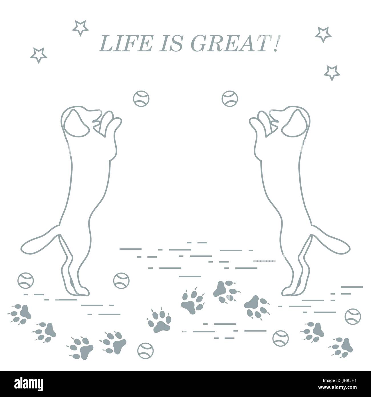 Game of pet. Silhouettes of dogs jumping to tennis ball on the ...