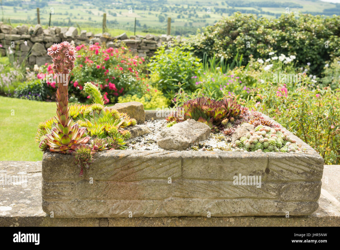 Alpines trough hi-res stock photography and images - Alamy