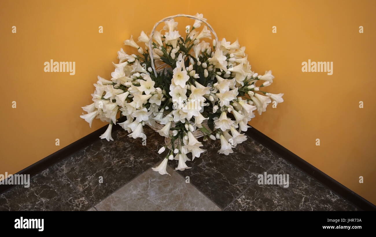 a basket of beautiful white flowers standing in the corner Stock Photo ...