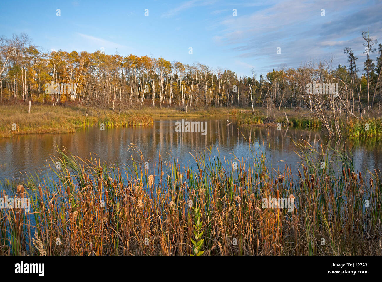 Whiteshell provincial park in autumn hi-res stock photography and ...