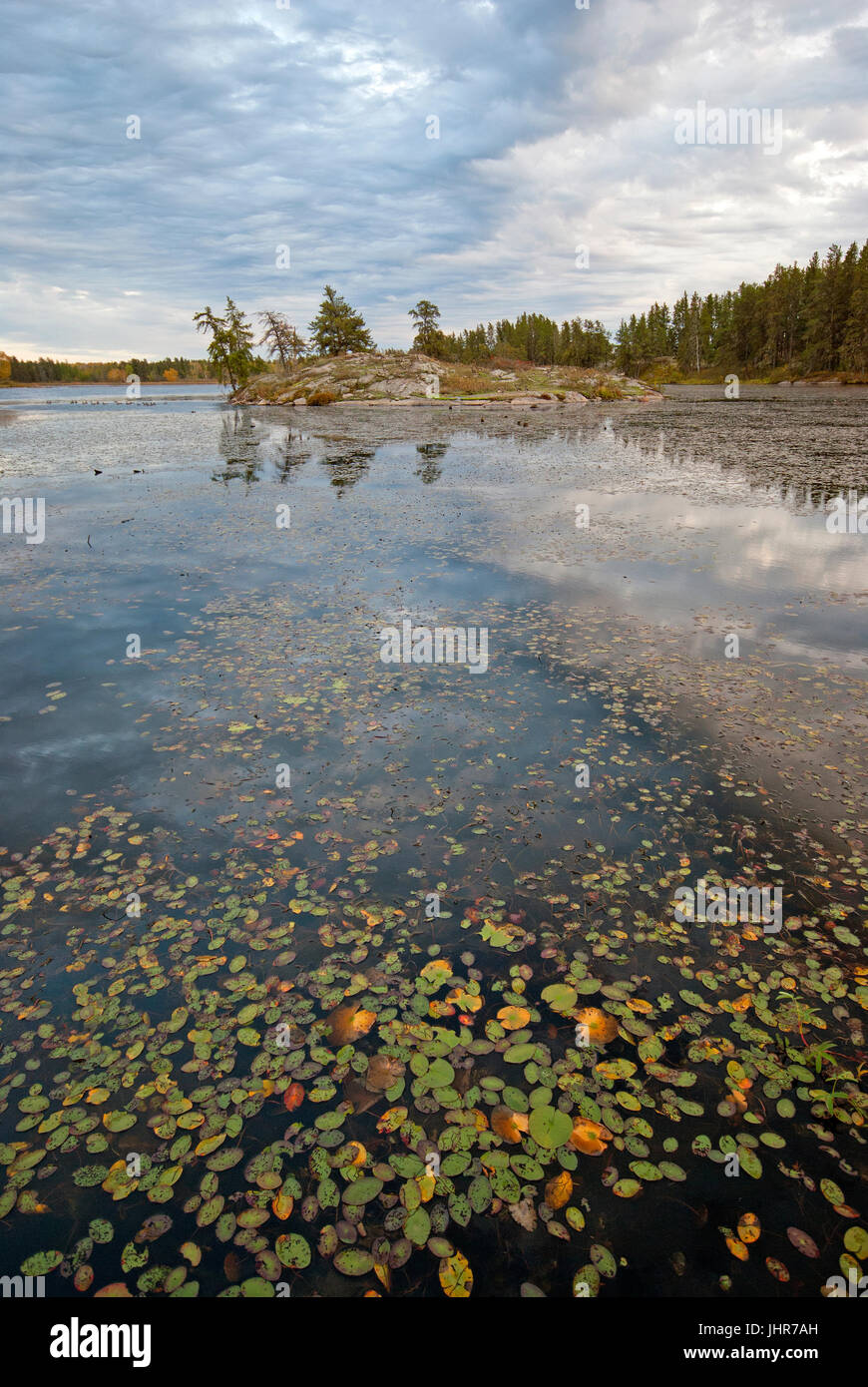 Goose pond, Alfred Hole Goose Sanctuary, Whiteshell Provincial Park ...