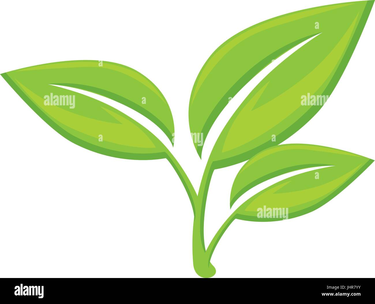 stem with leaves icon over white background colorful design vector ...