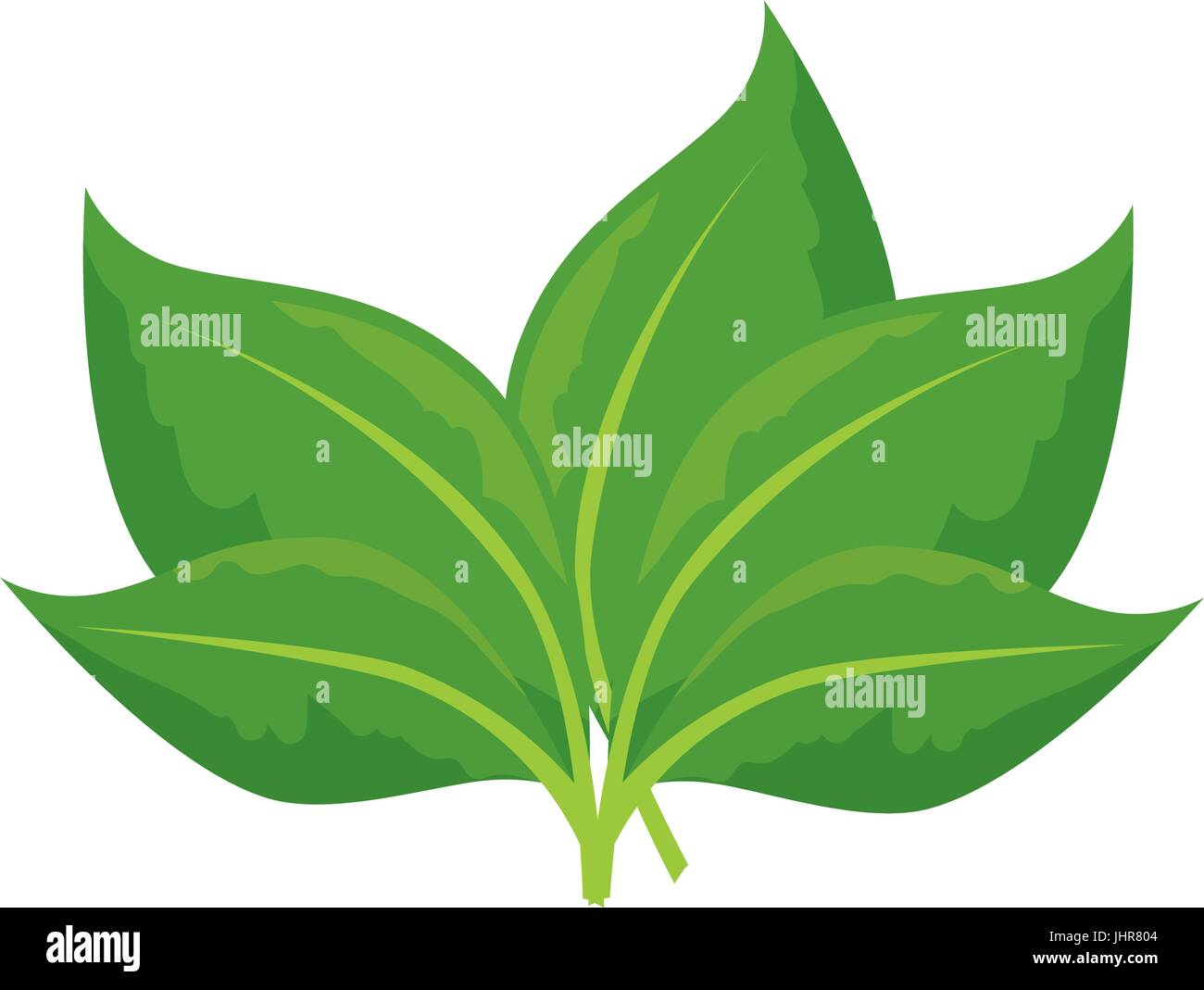 stem with leaves icon over white background colorful design vector ...