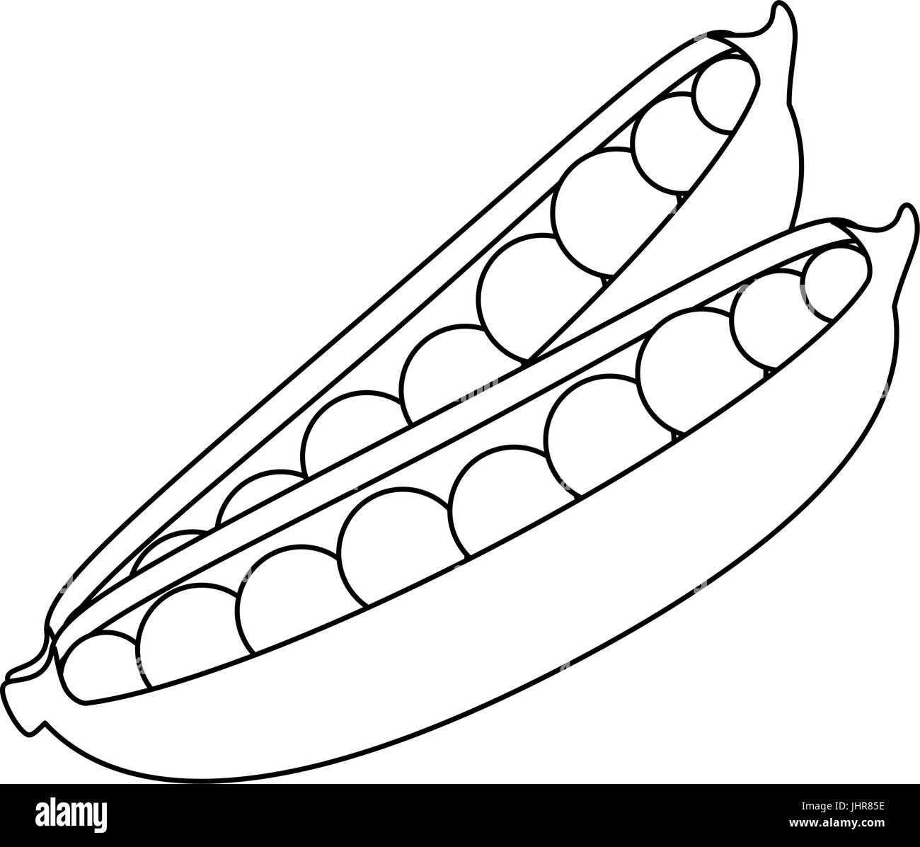 Peas Clip Art Black And White