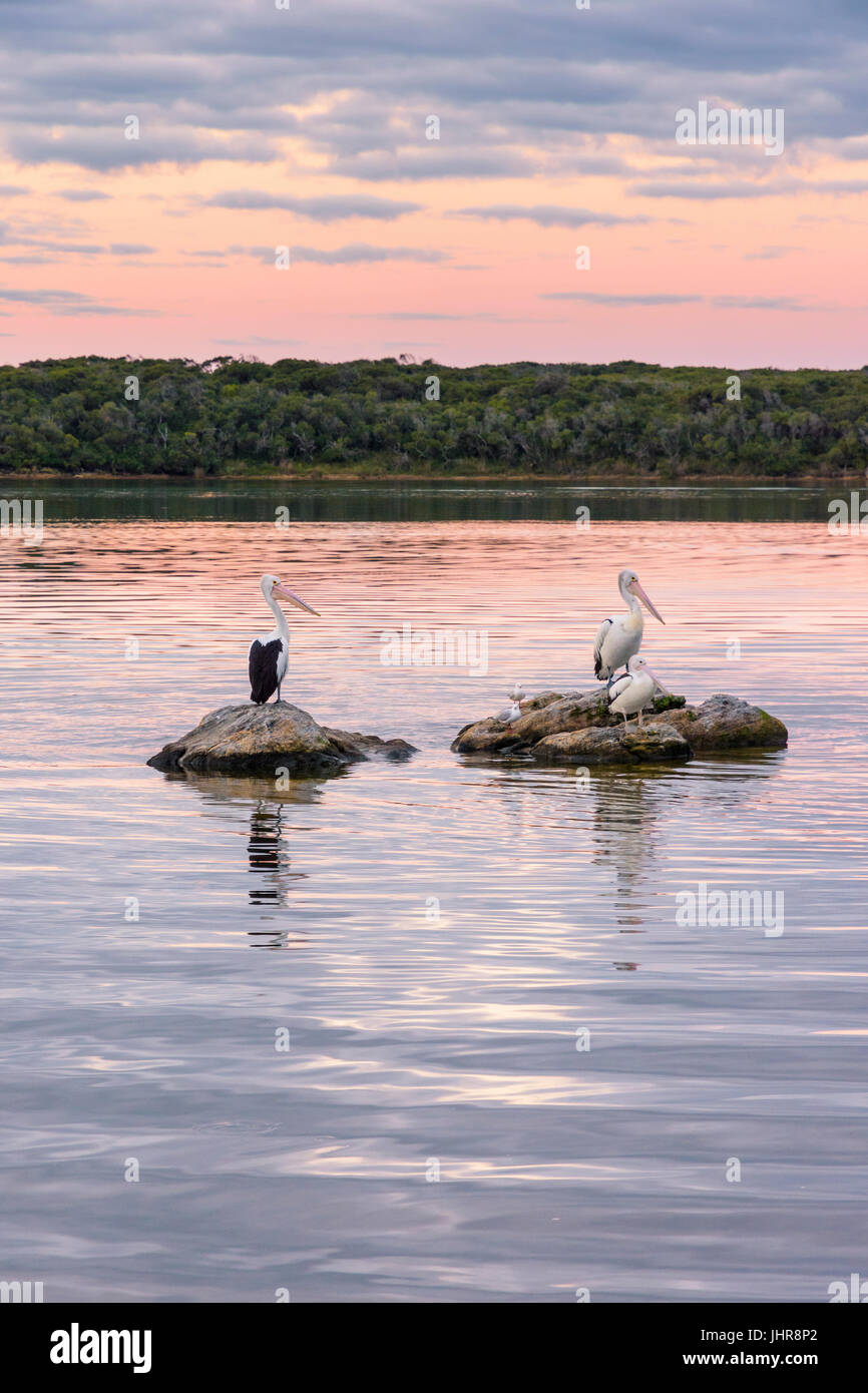 Hardy rocks hi-res stock photography and images - Alamy