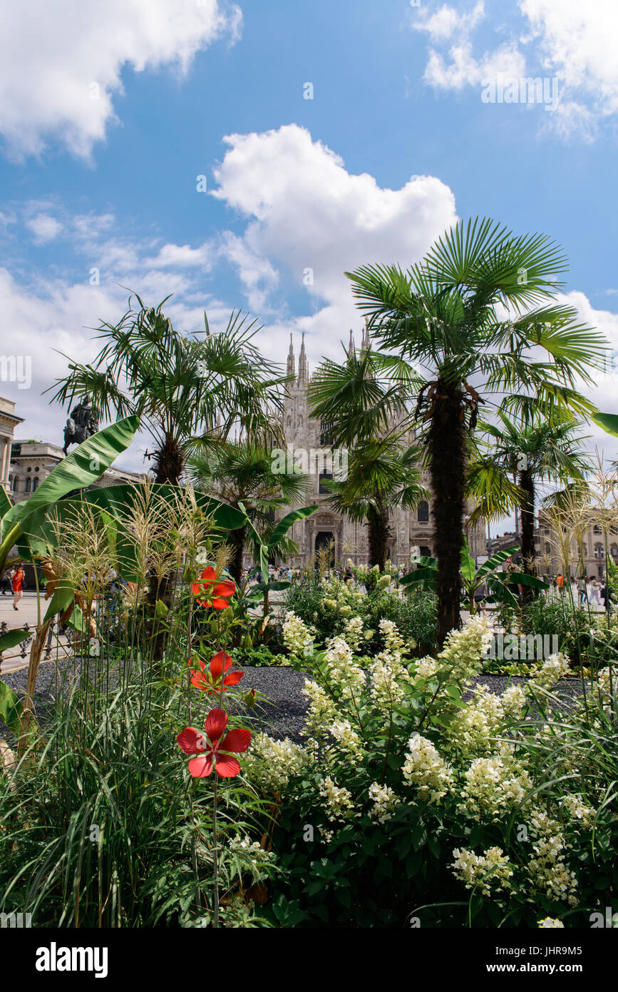 Duomo palm trees hi-res stock photography and images - Alamy