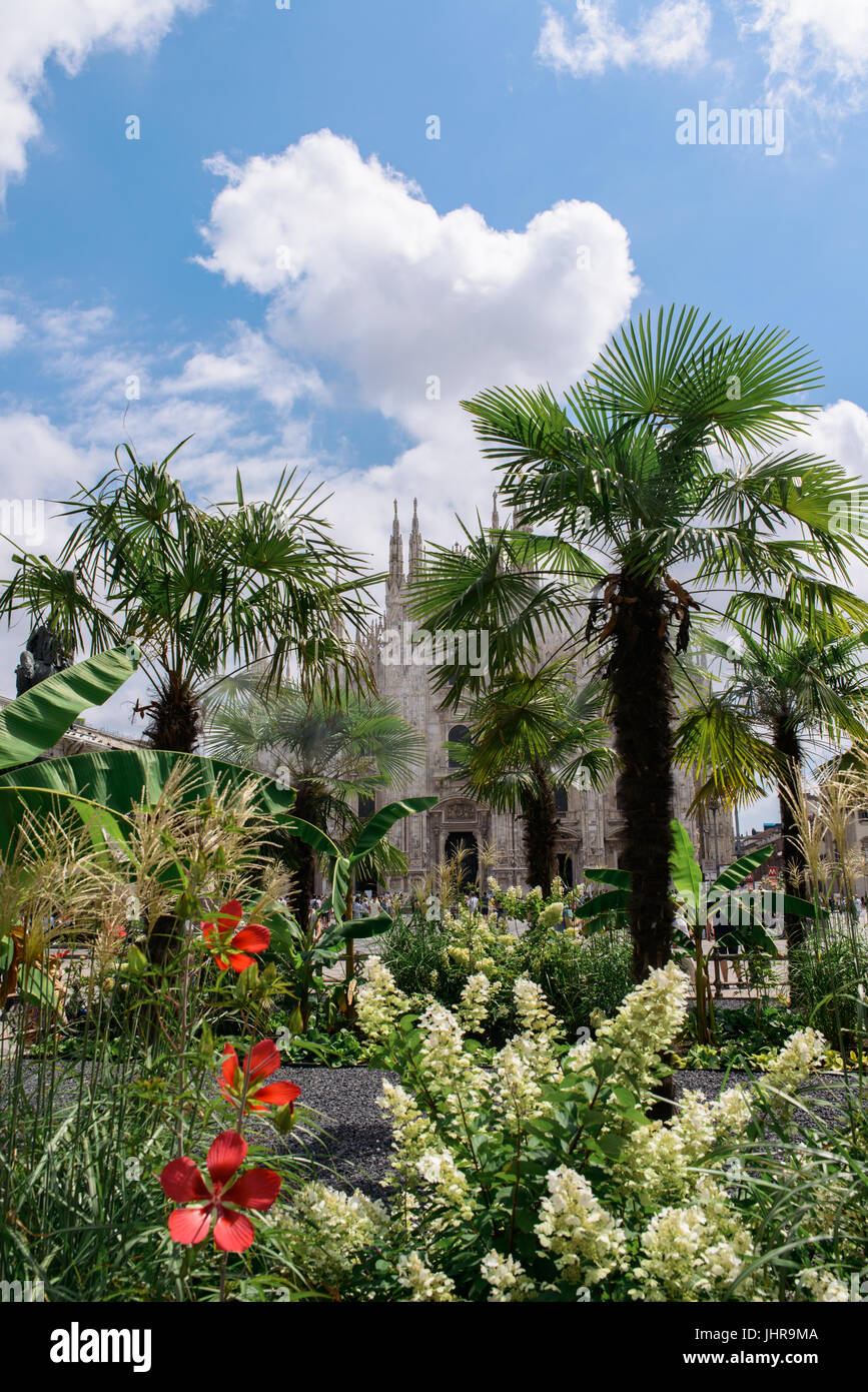 Duomo palm trees hi-res stock photography and images - Alamy