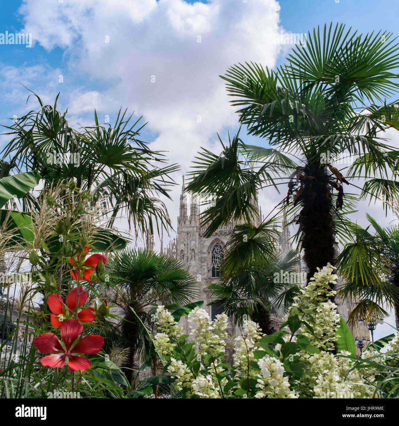 Duomo palm trees hi-res stock photography and images - Alamy