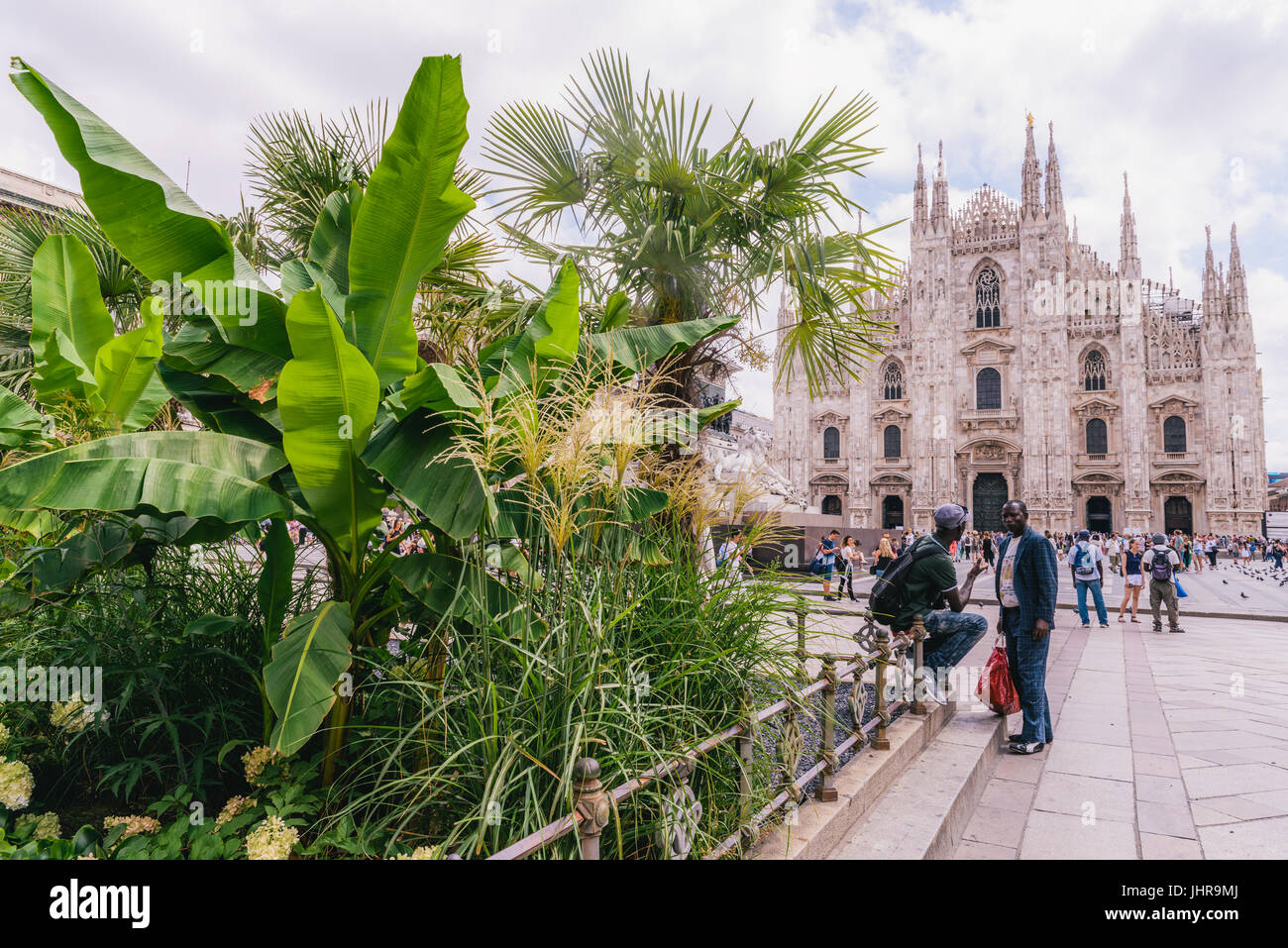 Duomo di milano palm hi-res stock photography and images - Alamy