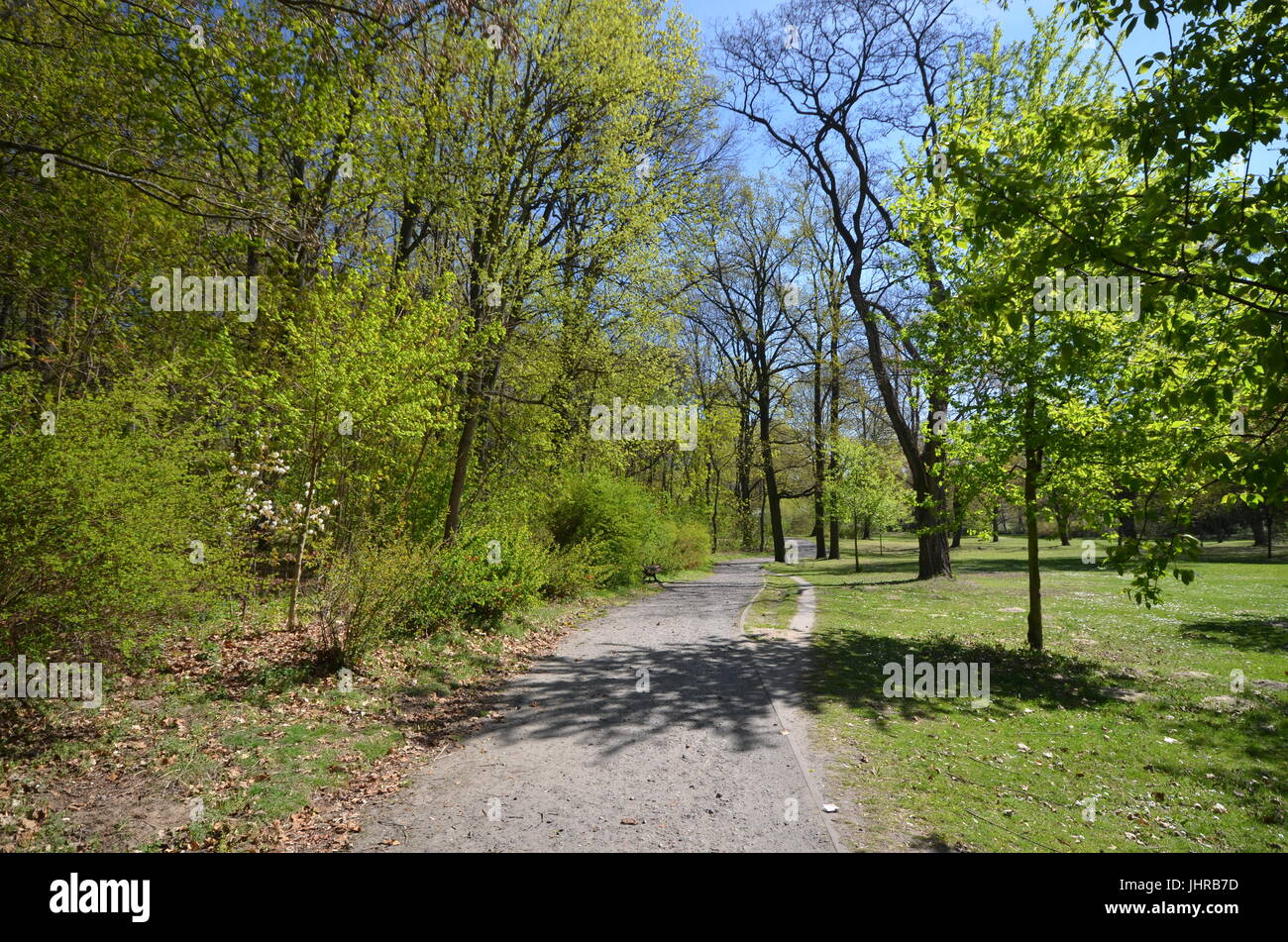Spring Impressions from the Goethe Park in Berlin-Wedding from April 21 ...