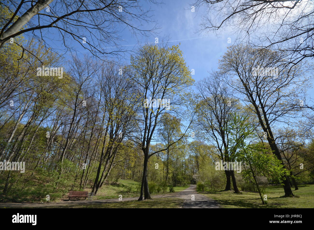 Spring Impressions from the Goethe Park in Berlin-Wedding from April 21 ...