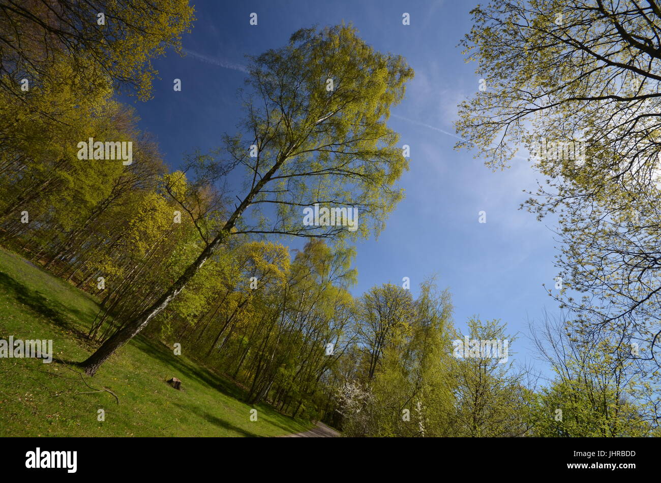 Spring Impressions from the Goethe Park in Berlin-Wedding from April 21 ...