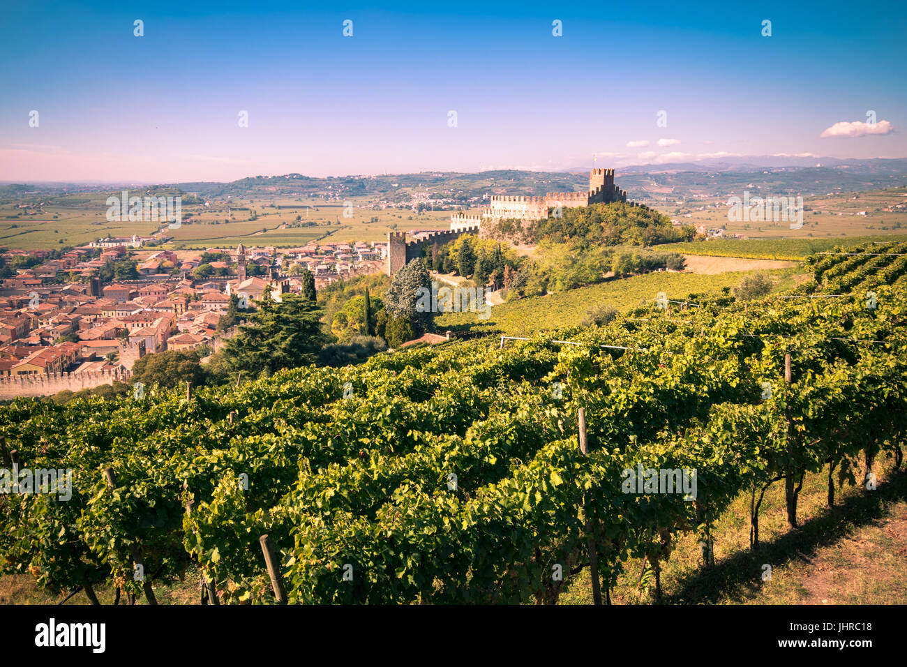 view of Soave (Italy) surrounded by vineyards that produce one of the ...