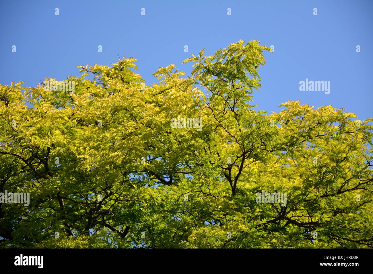 Impressions from the surroundings of Spandau Citadel in Berlin on July ...