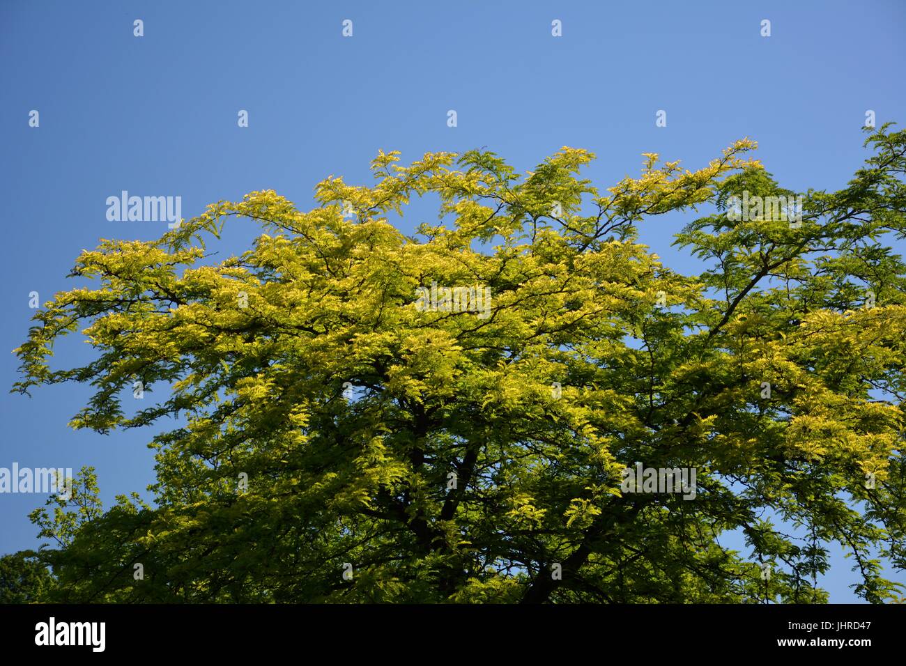 Impressions from the surroundings of Spandau Citadel in Berlin on July ...