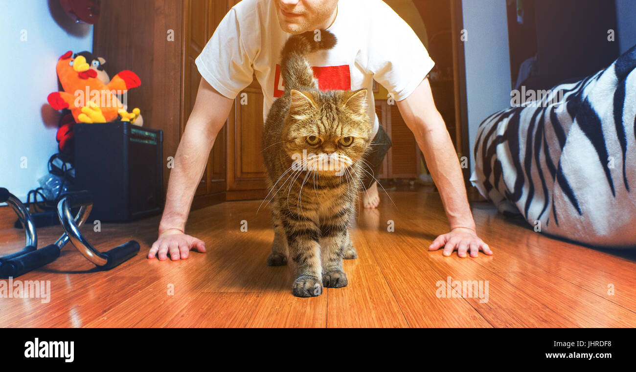 The man does push-ups at home, the cat disturb him Stock Photo - Alamy