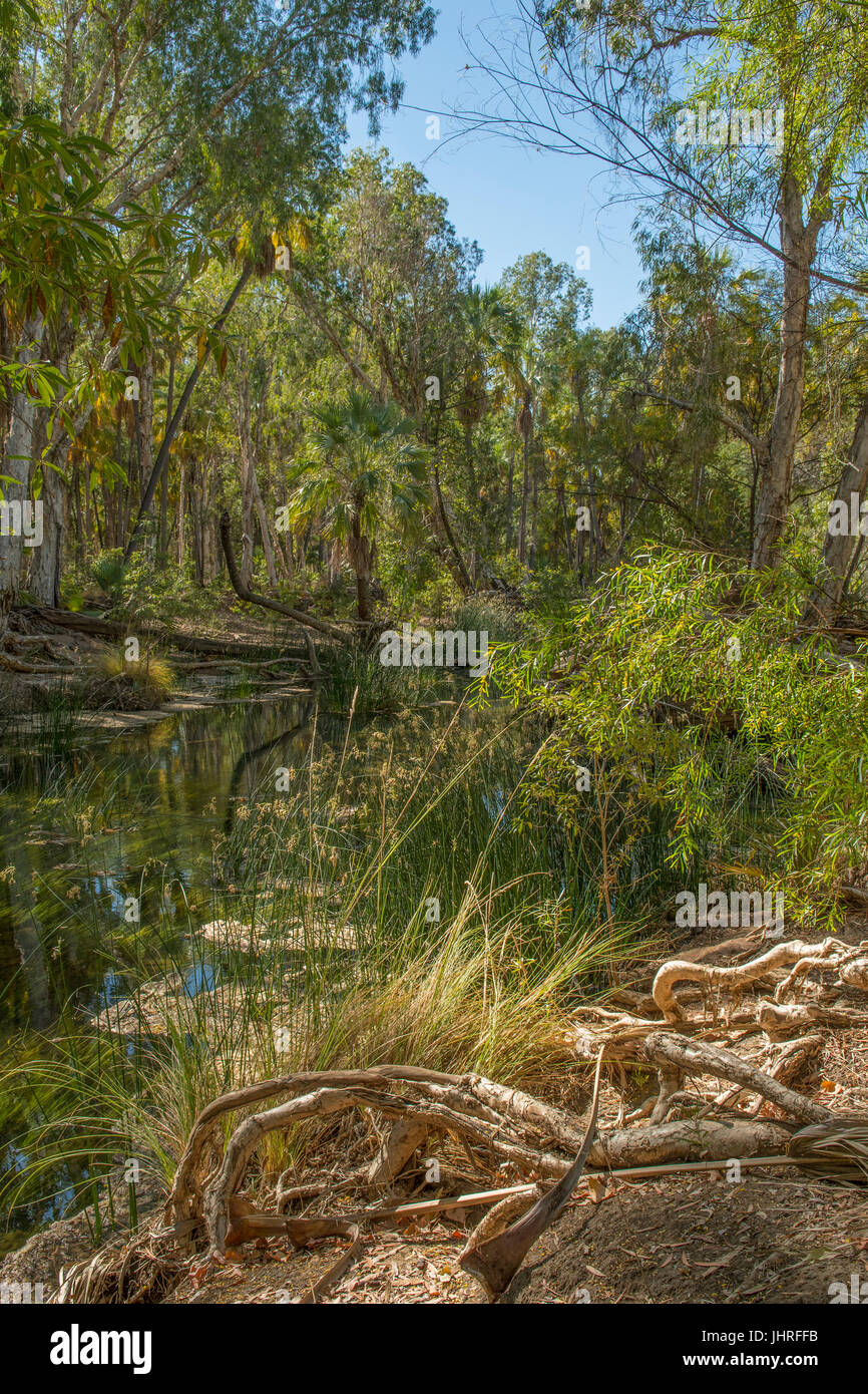 Adels grove australia hi-res stock photography and images - Alamy
