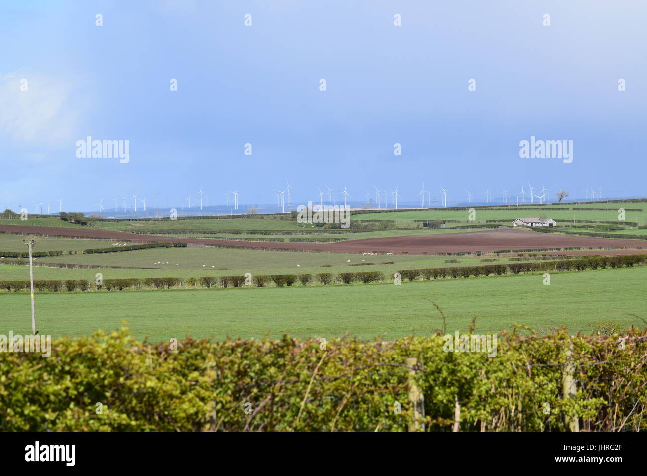 Whitelee wind farm, Eaglesham moor, Scotland Stock Photo - Alamy