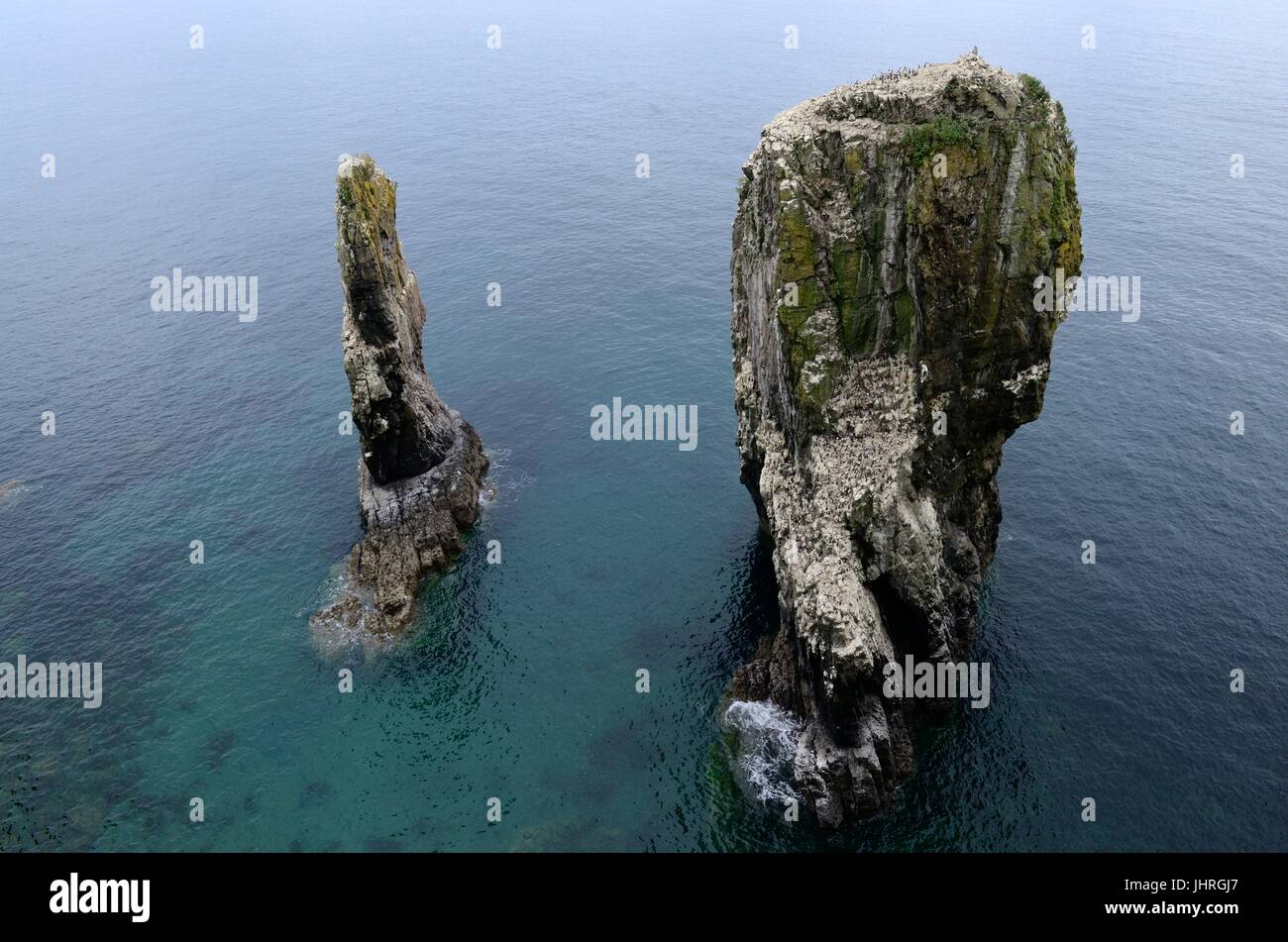 Pembrokeshire elegug stack hi-res stock photography and images - Alamy