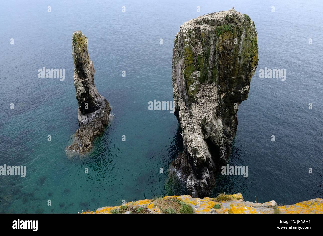 Stack rocks pembrokeshire coast hi-res stock photography and images - Alamy