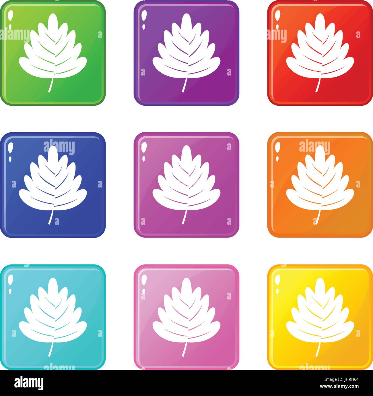 Hawthorn leaf set collection Stock Vector Images - Alamy
