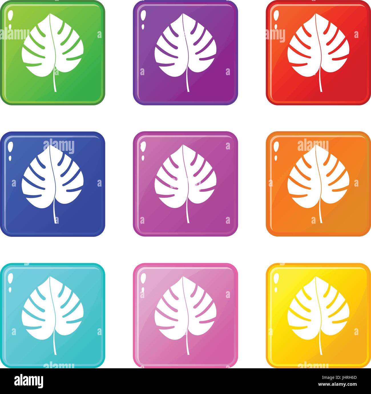 Leaf of monstera icons 9 set Stock Vector Image & Art - Alamy