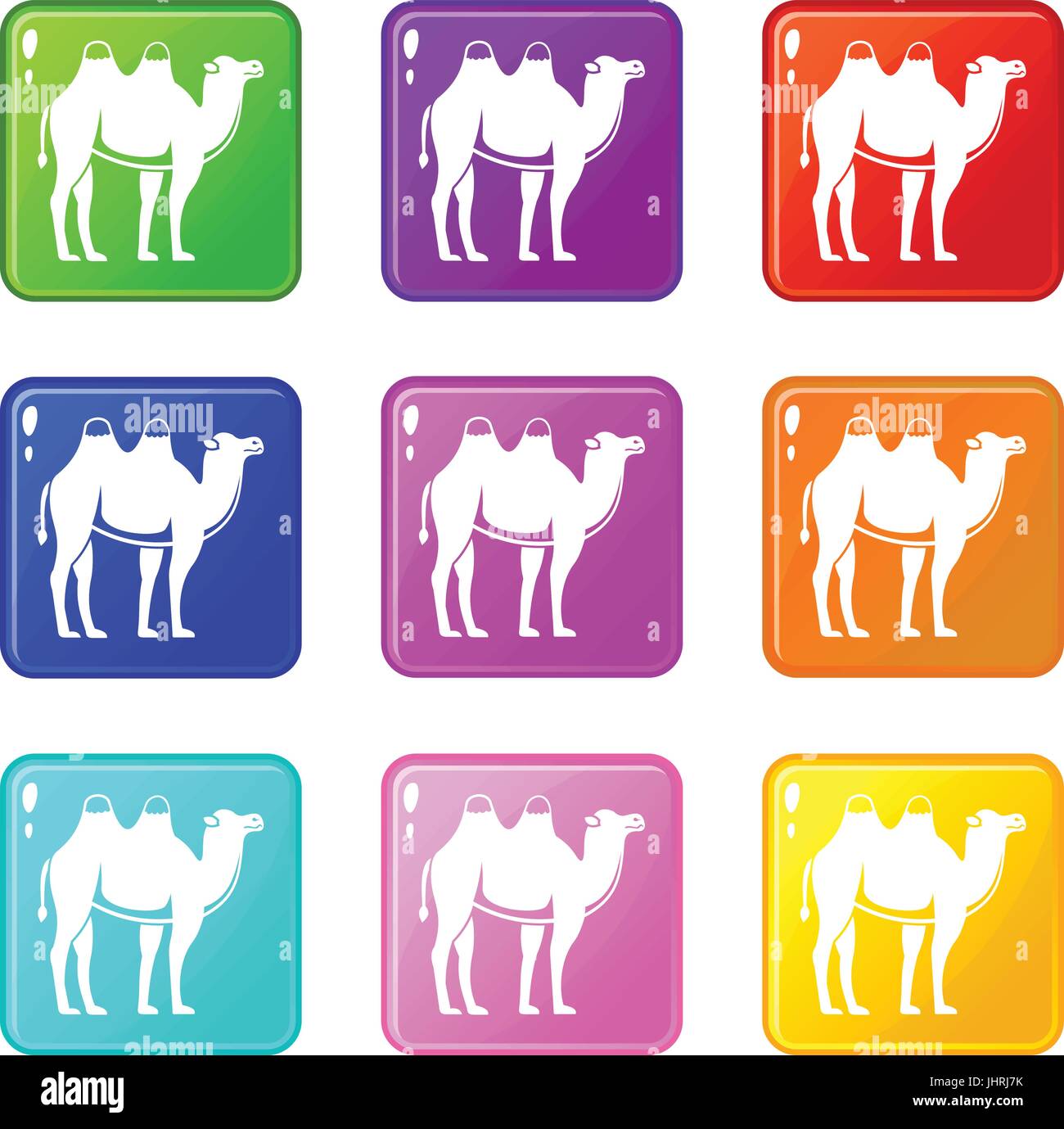 Camel icons 9 set Stock Vector Image & Art - Alamy