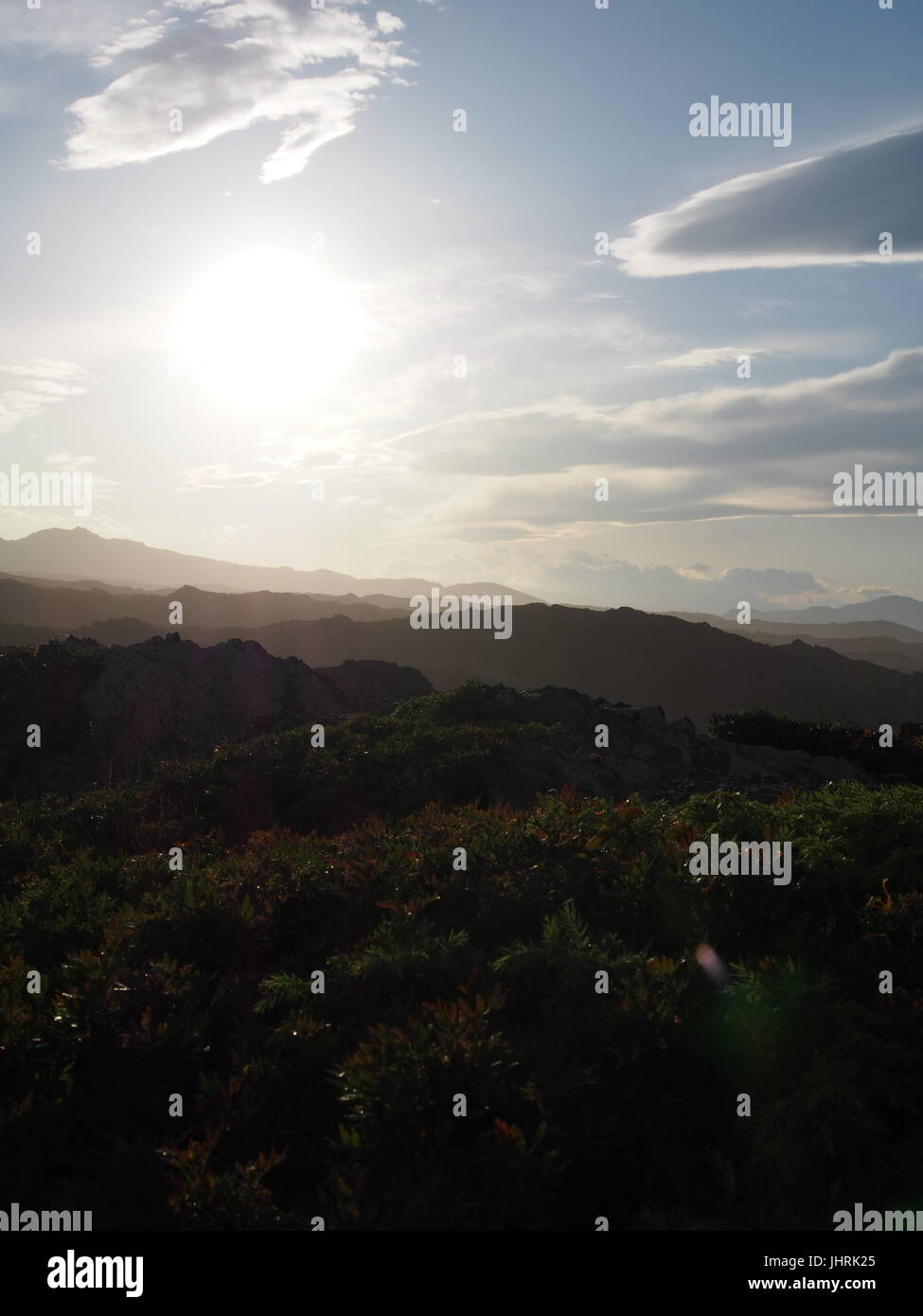 Wide path and long grass hi-res stock photography and images - Alamy