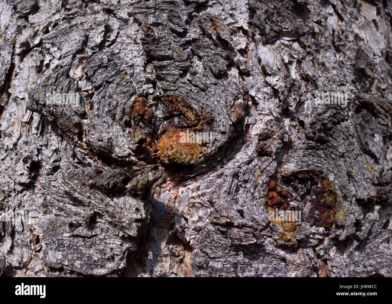 Flammable resin hi-res stock photography and images - Alamy